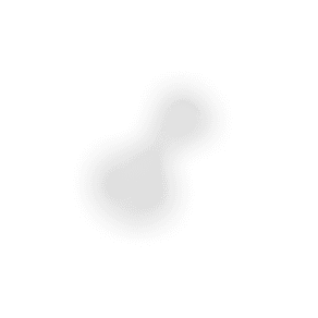 SafeWallet - Safe and Secure Crypto Wallet